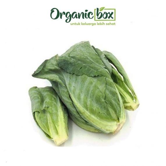 Organik Home - Organic Box