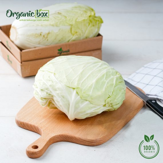 Organik Home - Organic Box