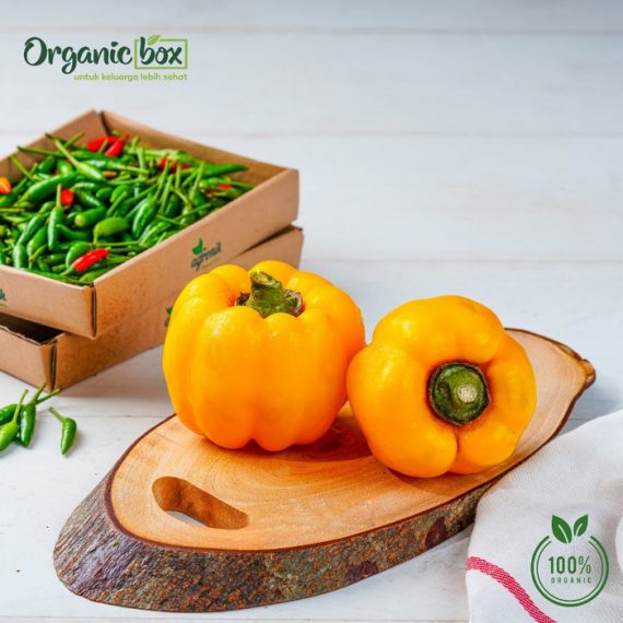 Organik Home - Organic Box